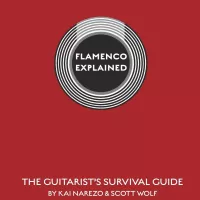 Flamenco Explained