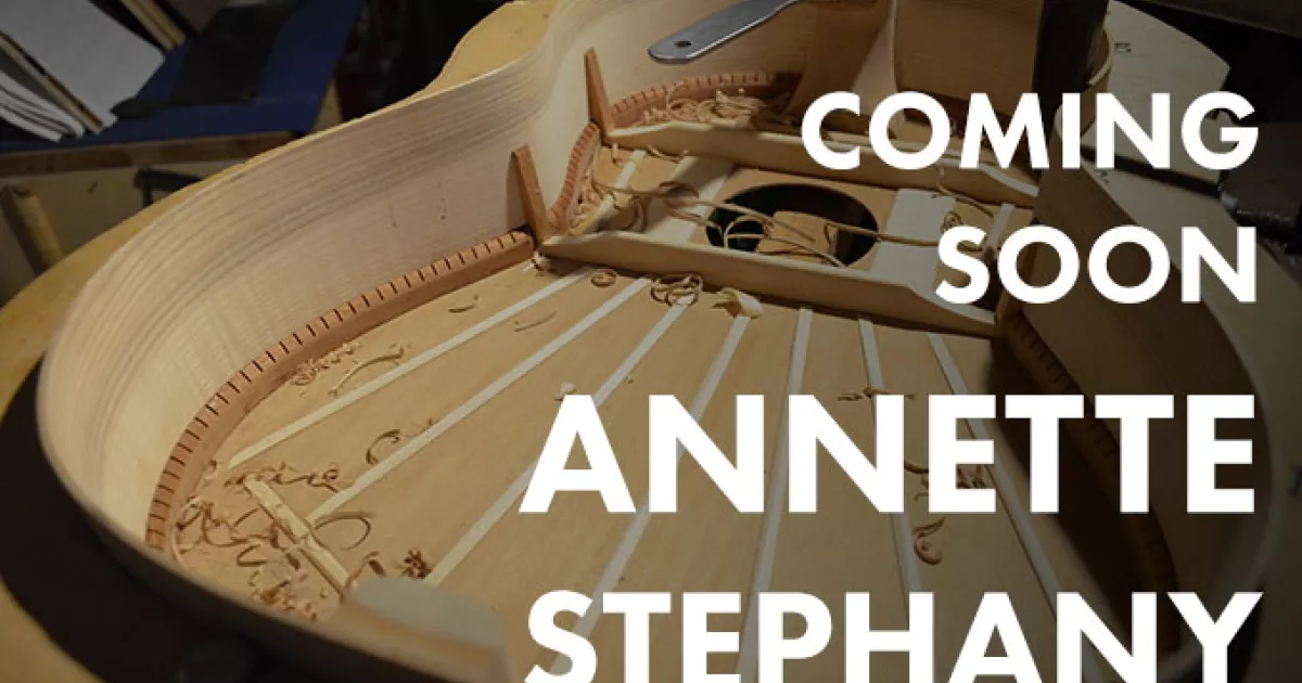 Ash wood... On a guitar? You bet! See what Annette Stephany has in the ...
