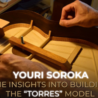 Youri Soroka: The Insights into Building the "Torres" Model.