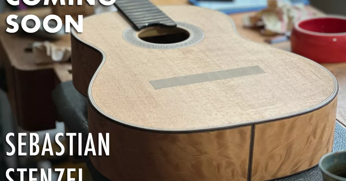 Sebastian Stenzel Shares The Photos of His Newest Guitar With "Enhanced ...