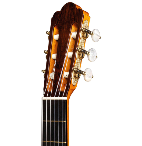 1999 Matthias Dammann "Torres" SP/CSAR Guitar | GSI