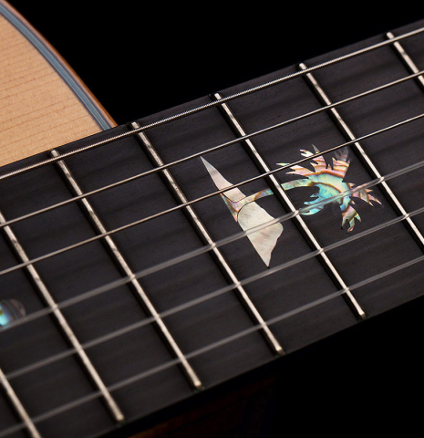 2002 Steve Grimes "LC Custom Nylon" SP/CSAR Guitar | GSI