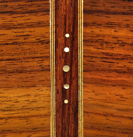 2017 Annette Stephany SP/IN Guitar | GSI