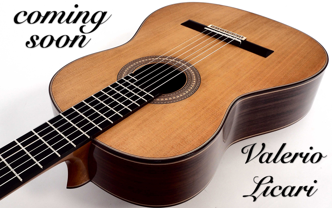 Valerio Licari has Built a New GSI Guitar with Decorative Motifs ...