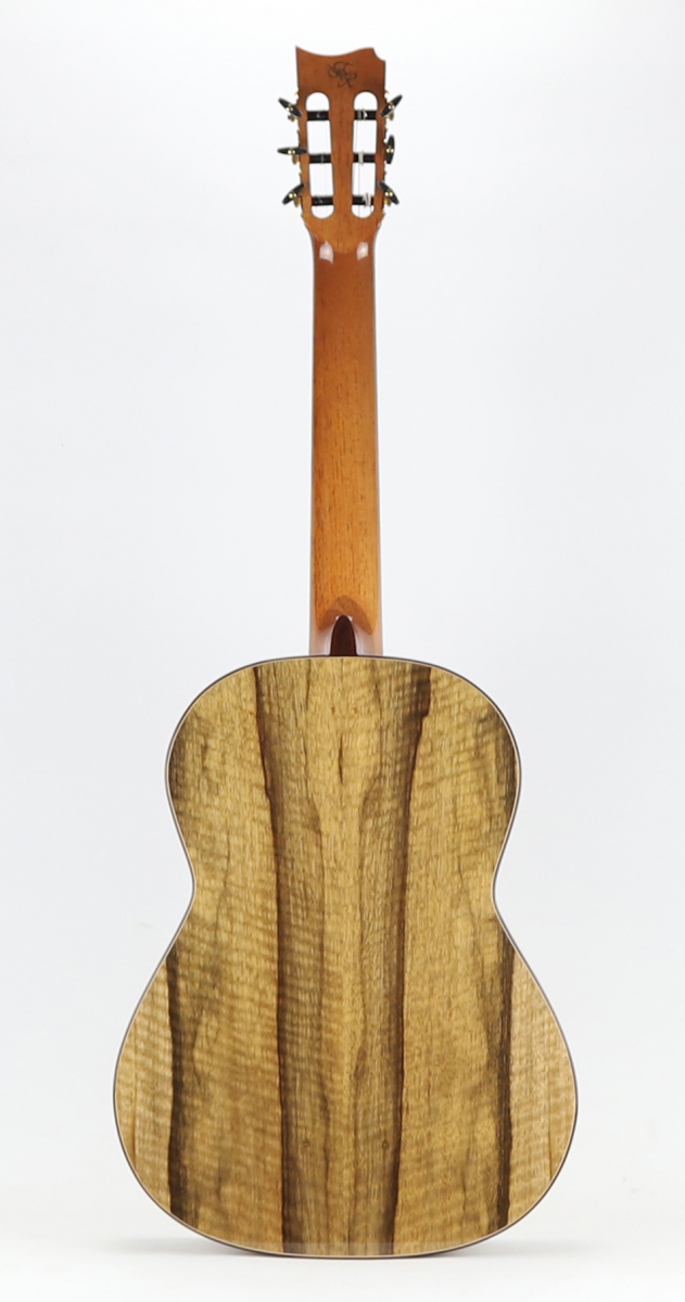 Tatyana Ryzhkova's Signature Raimundo Model is Arriving Soon at GSI!