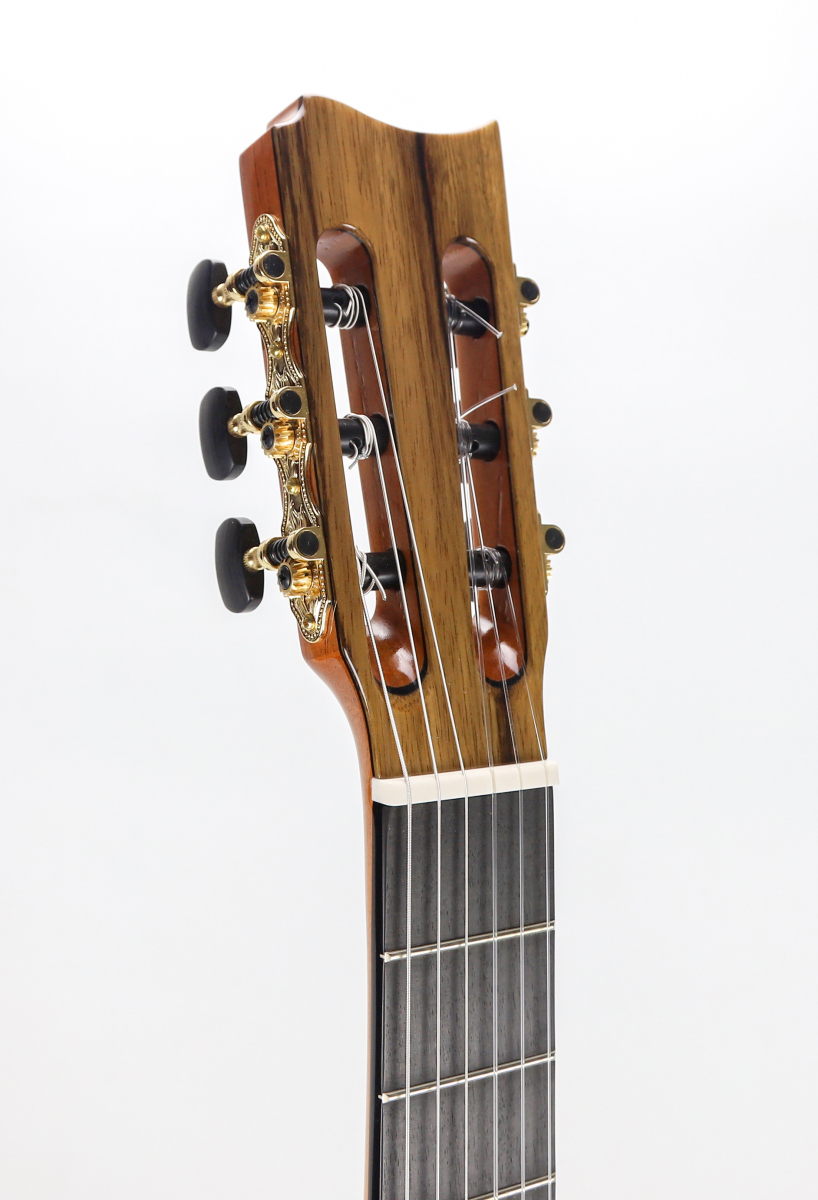 Tatyana Ryzhkova's Signature Raimundo Model is Arriving Soon at GSI!