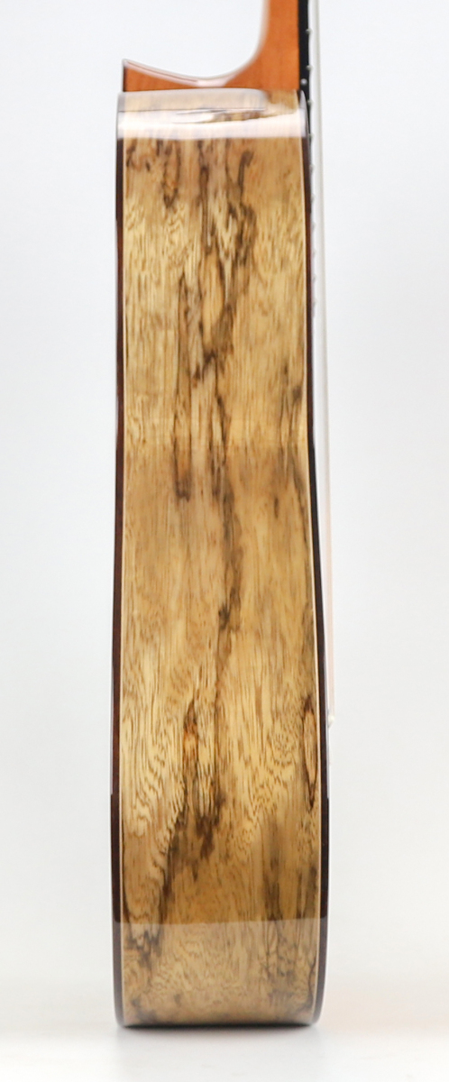 Tatyana Ryzhkova's Signature Raimundo Model is Arriving Soon at GSI!