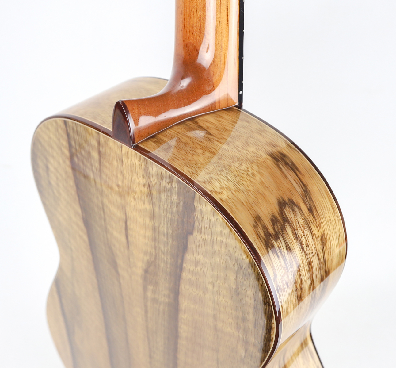 Tatyana Ryzhkova's Signature Raimundo Model is Arriving Soon at GSI!