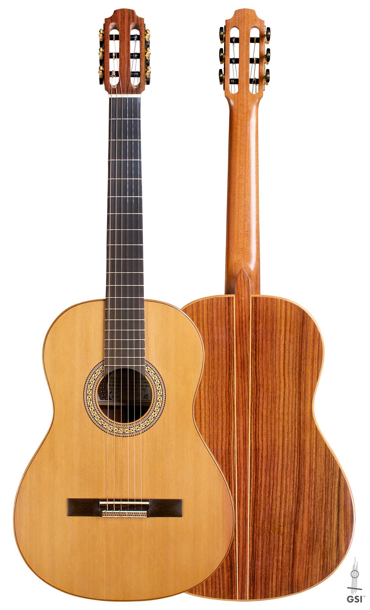 2010 John Peter Barthell CD/IN Guitar | GSI