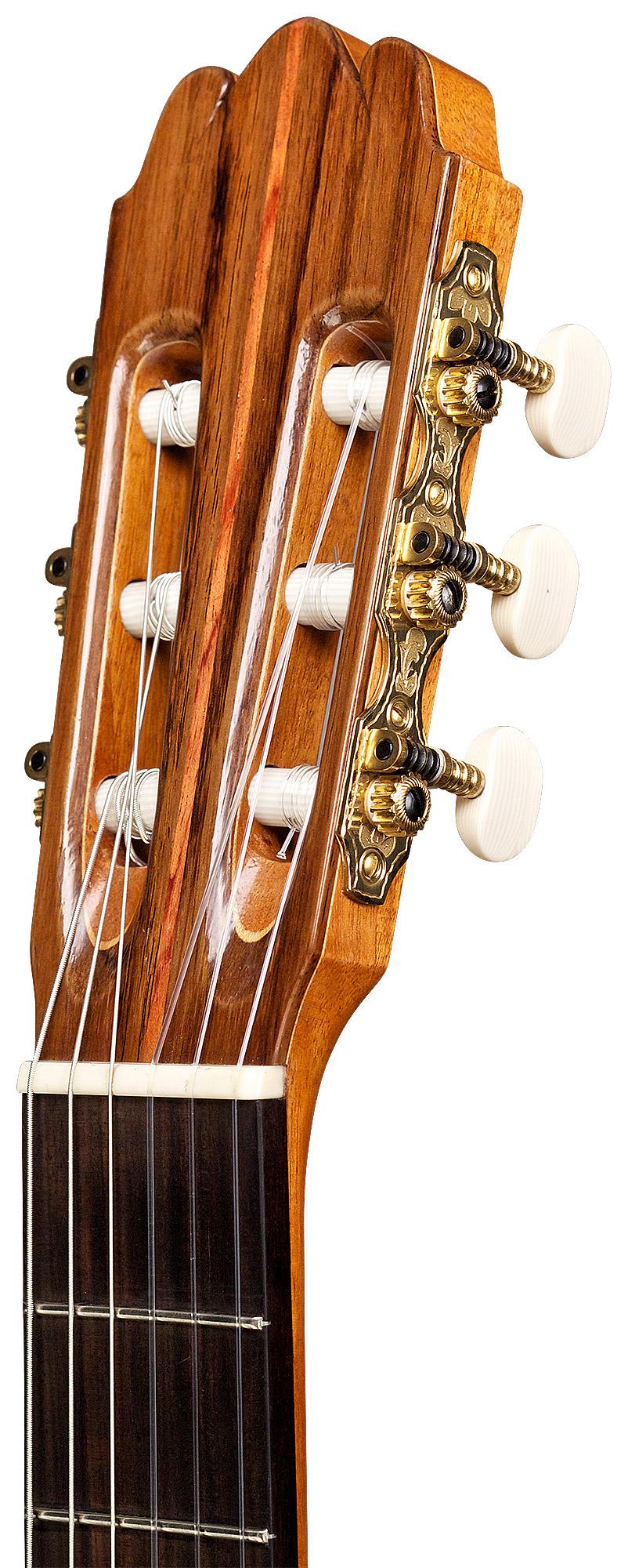 2004 Rod Capper CD/IN Guitar | GSI