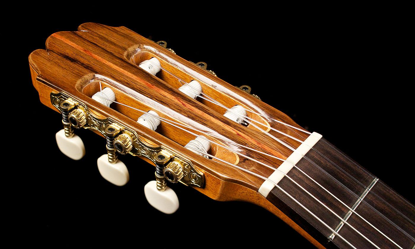 2004 Rod Capper CD/IN Guitar | GSI