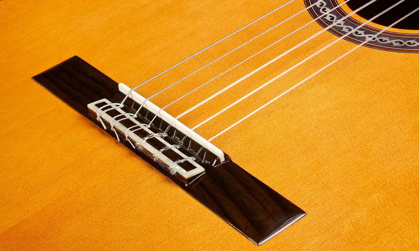 Cordoba "C9" CD/MH Guitar | GSI