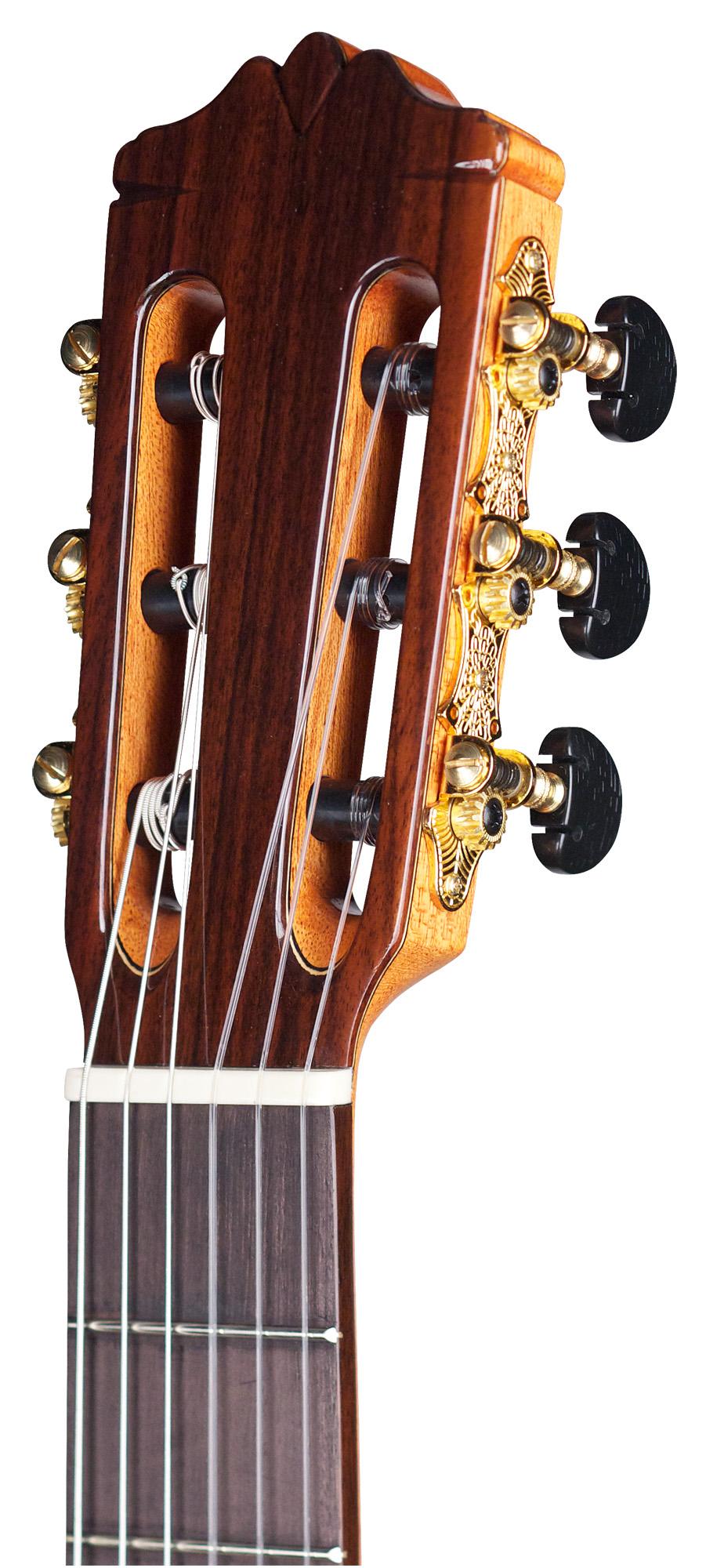 Cordoba "C9 Parlor" CD/MH Guitar | GSI