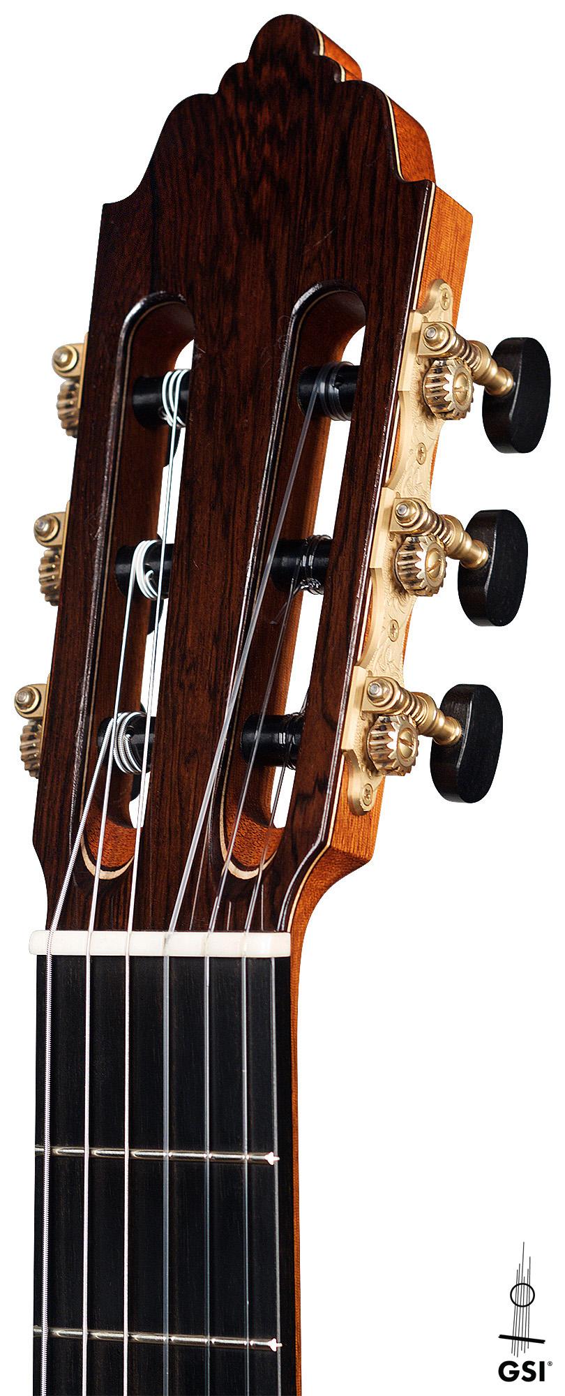 2015 David Daily CD/IN Guitar | GSI