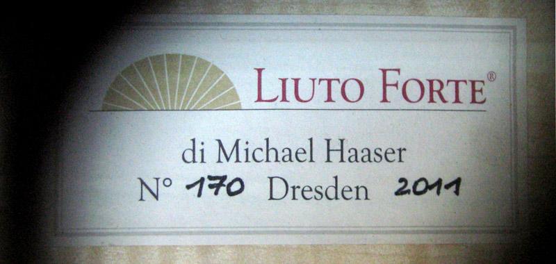 2012 Michael Haaser "Liuto Forte" SP/MP Guitar | GSI