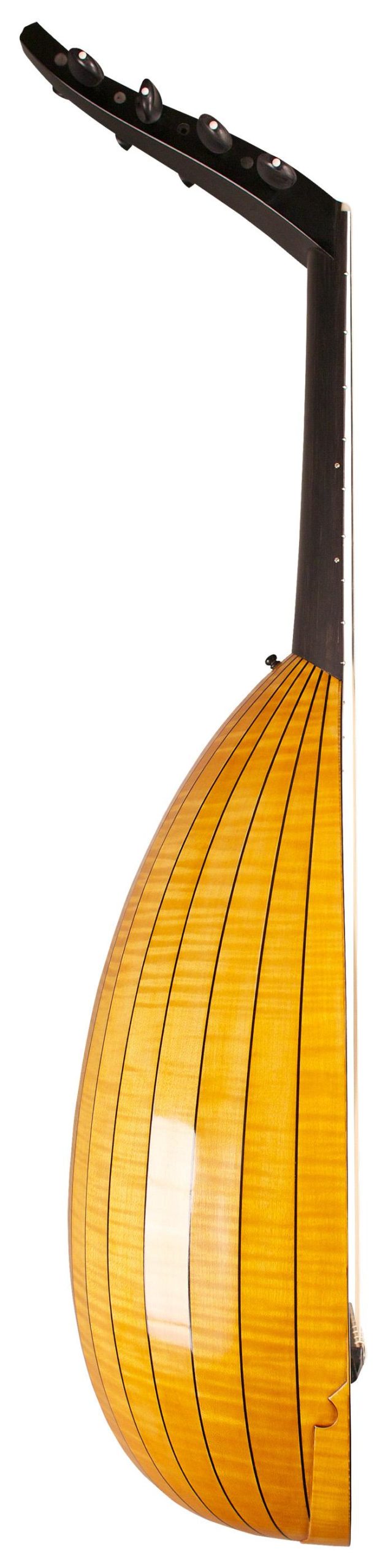 2012 Michael Haaser "Liuto Forte" SP/MP Guitar | GSI