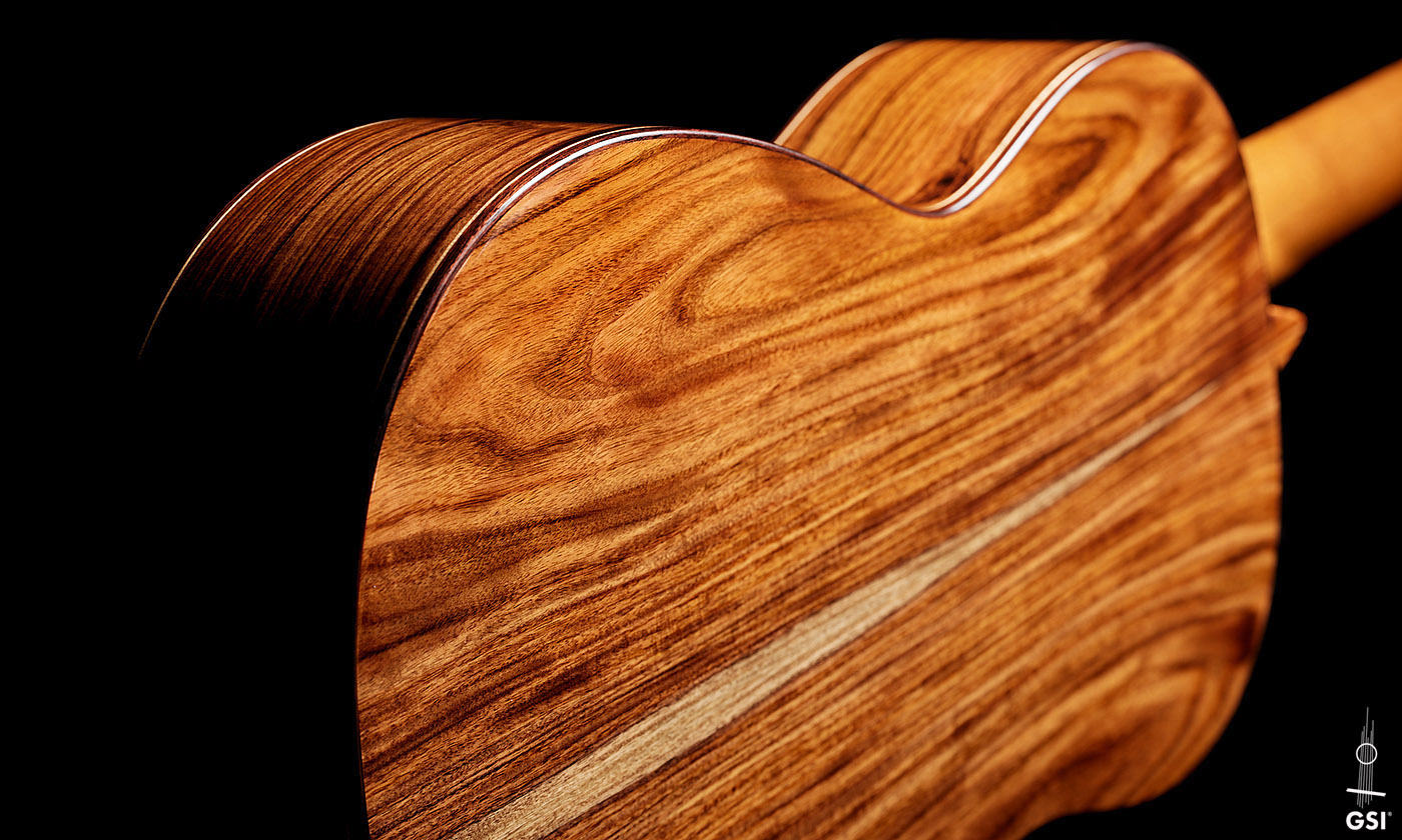 2023 Wolfgang Jellinghaus "Torres SE 77 - clear" SP/GR Guitar | GSI