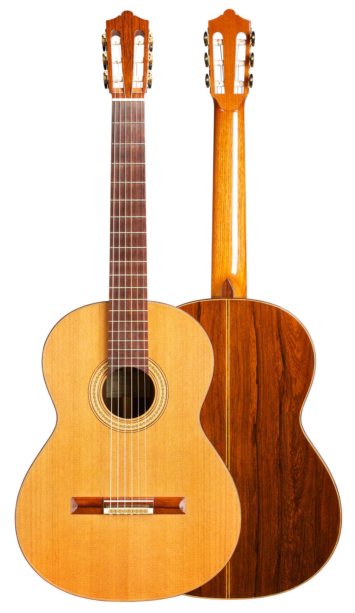 2012 Dieter Mueller CD/CSAR Guitar | GSI