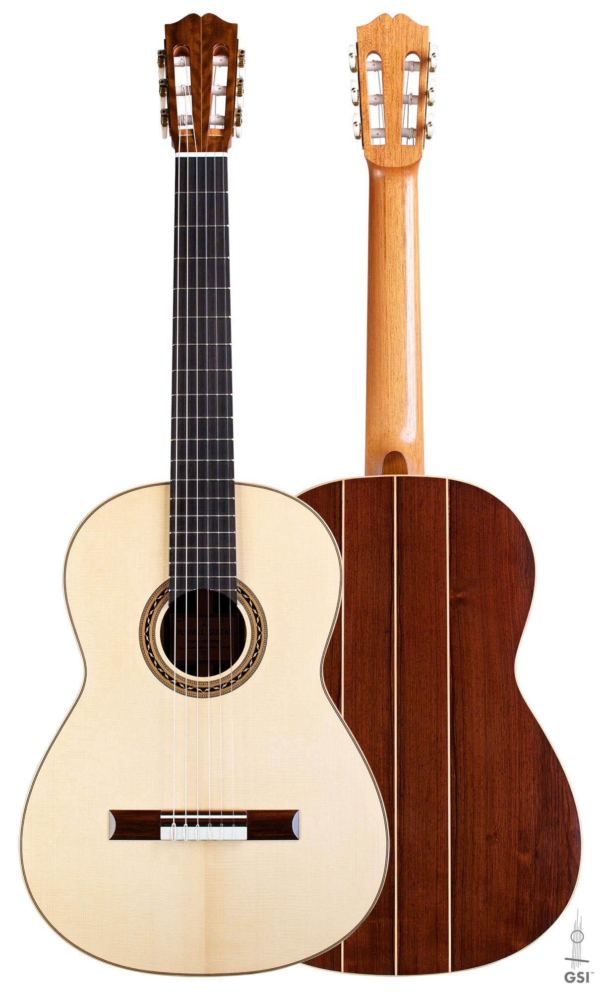 2016 Jake Fuller "Purnell" SP/HR Guitar | GSI