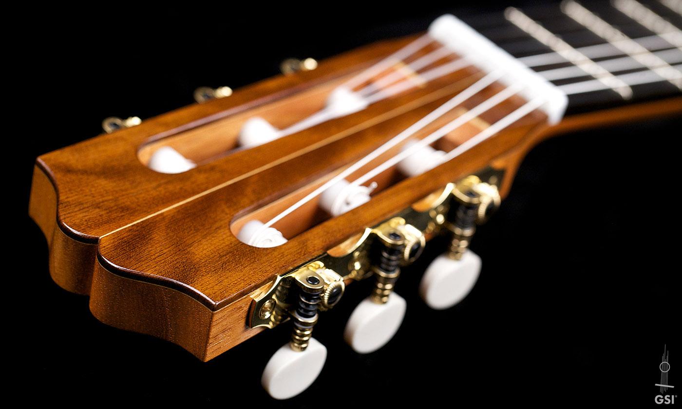 2017 Jake Fuller "Purnell" SP/CH Guitar | GSI