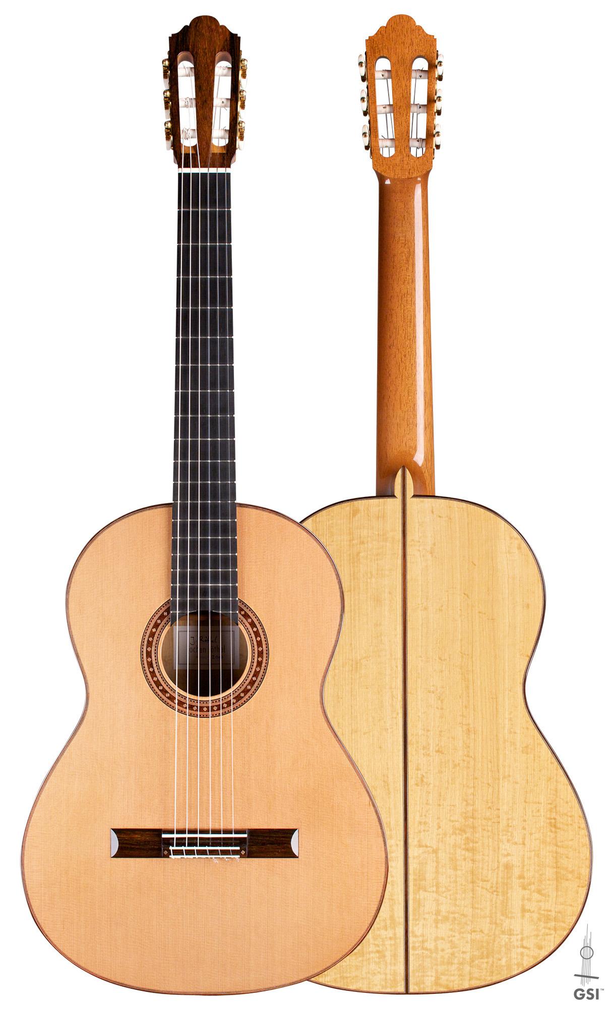 2017 Jochen Rothel CD/SW Guitar | GSI