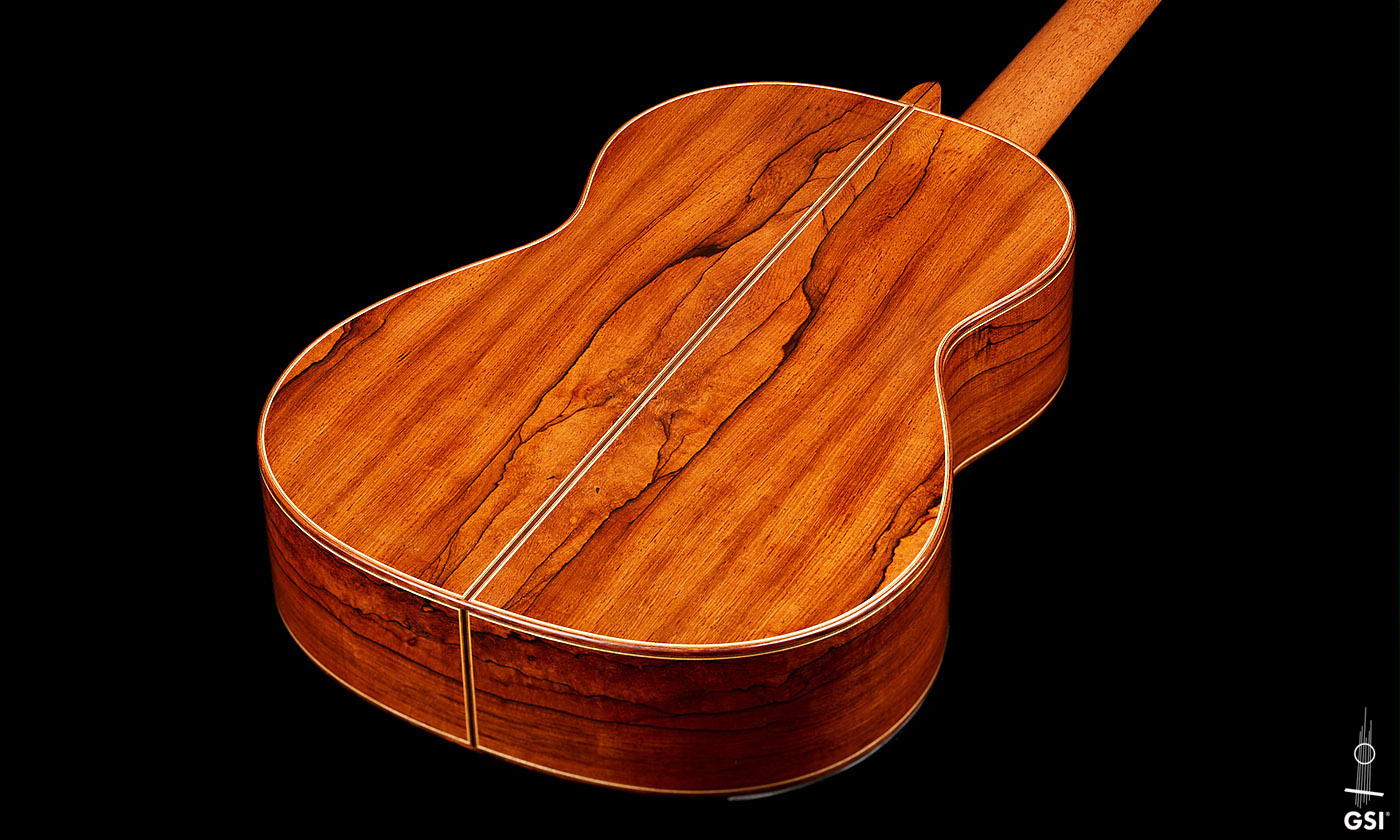 2010 Jochen Rothel SP/AR Guitar | GSI