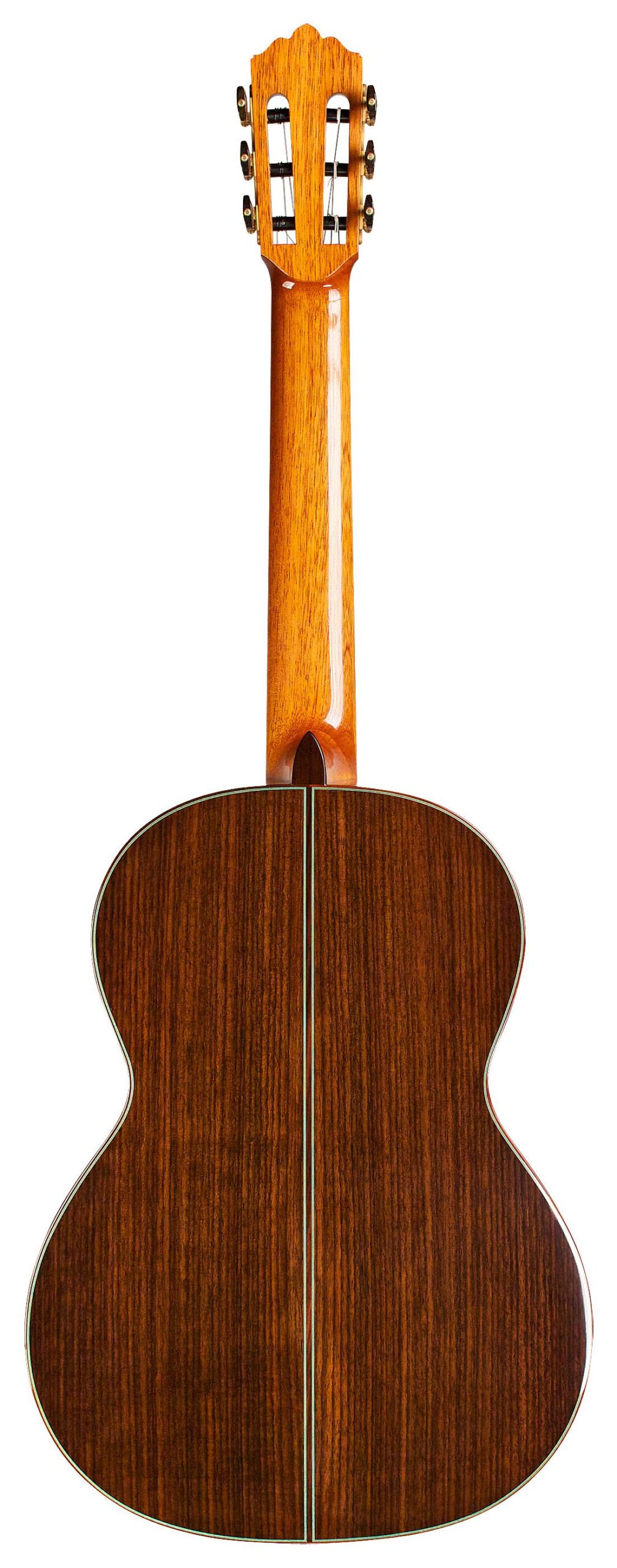 2014 Robert Ruck SP/IN Guitar | GSI